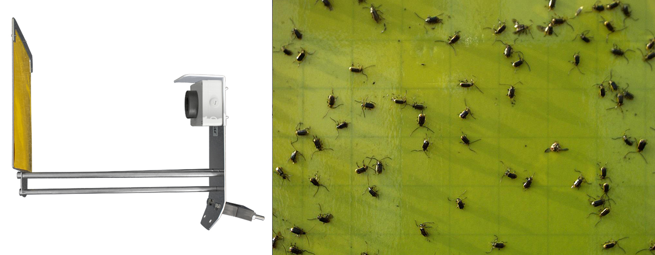 iSCOUT® – Metos Argentina